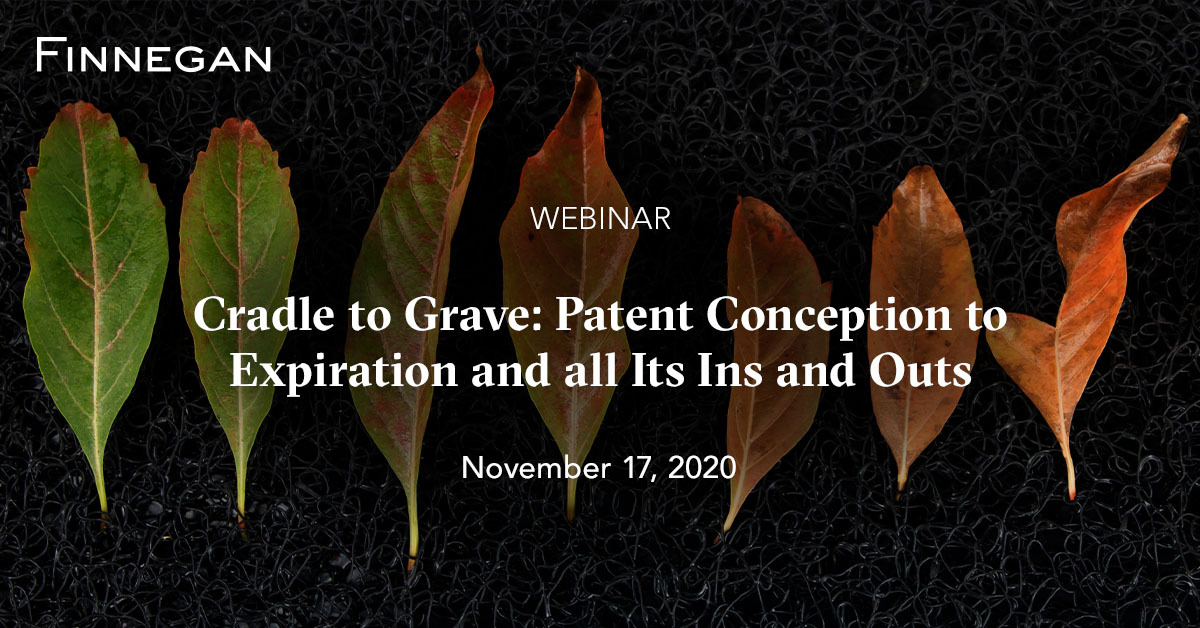 Cradle to Grave: Patent Conception to Expiration and all Its Ins and ...