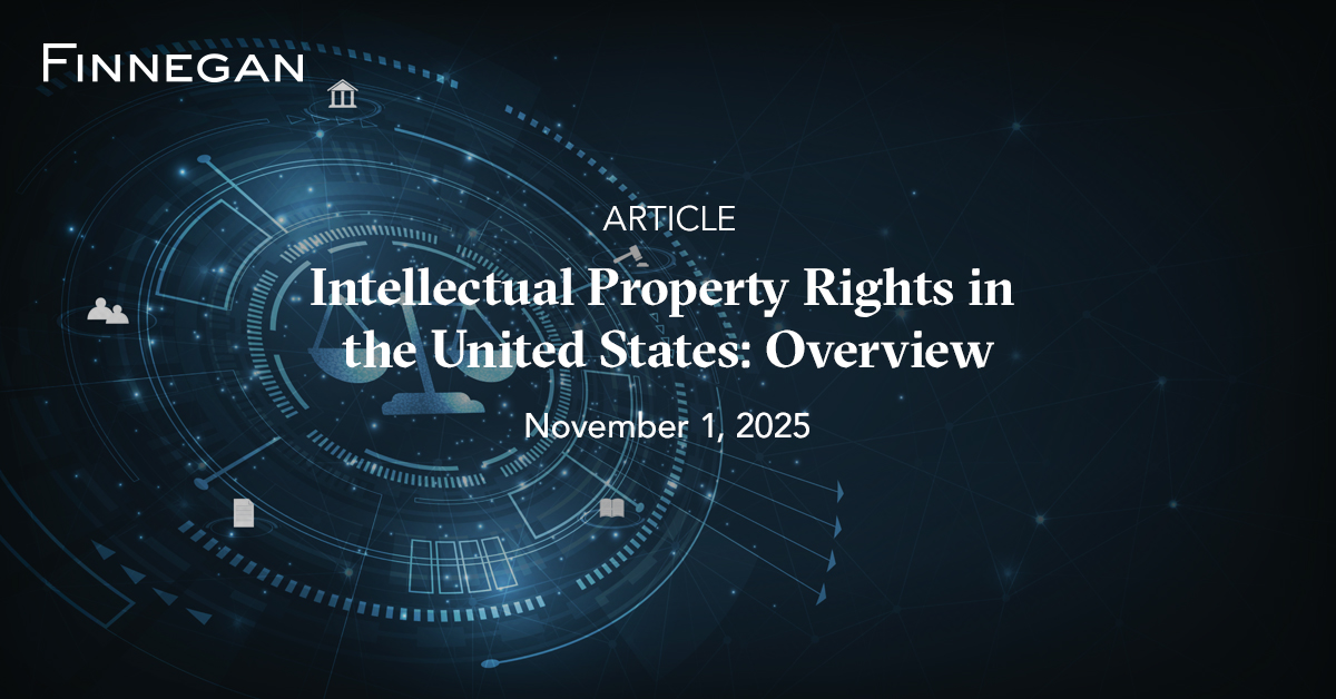 Intellectual Property Rights in the United States: Overview | Articles ...