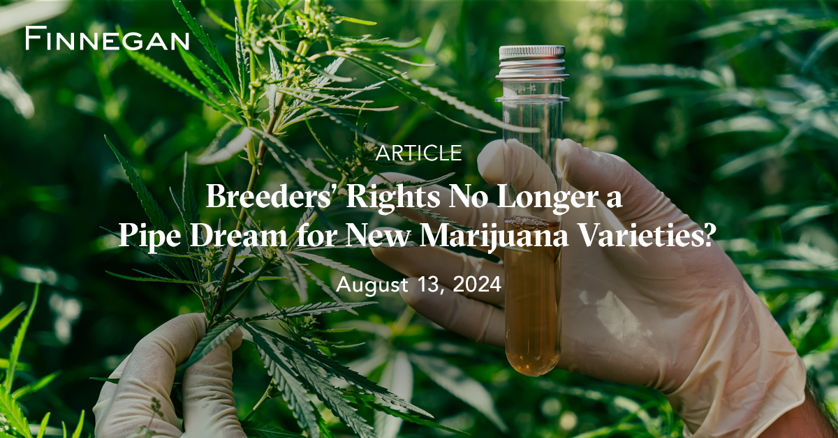 Breeders’ Rights No Longer a Pipe Dream for New Marijuana Varieties ...